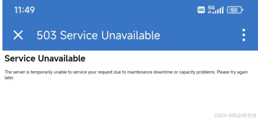 出现 The server is temporarily unable to service your request due to ...
