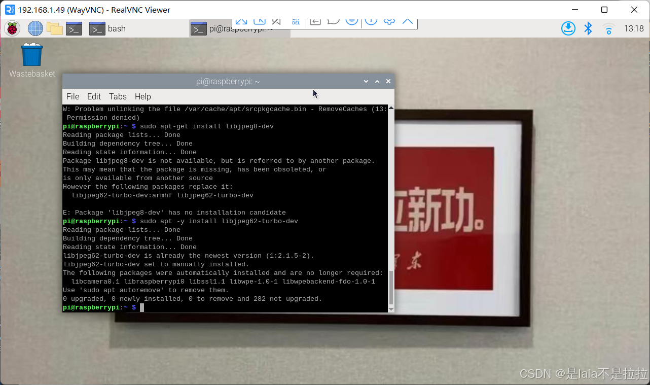 （超详细）树莓派mjpg_streamer下载安装自启动_各种弯路版_mjpg-streamer 下载-CSDN博客