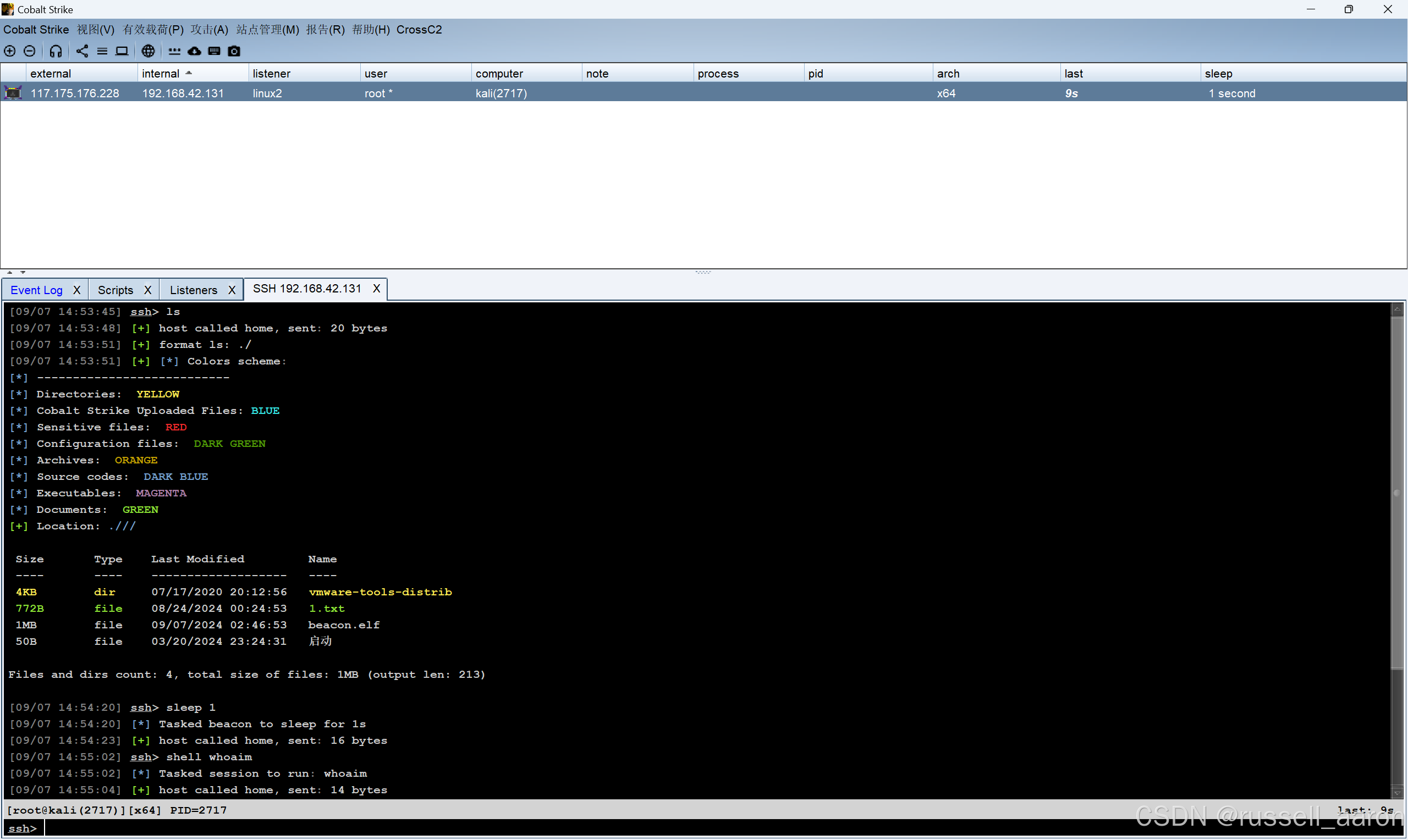 Cobalt Strike超细全面教程_cobaltstrike软件如何使用-CSDN博客