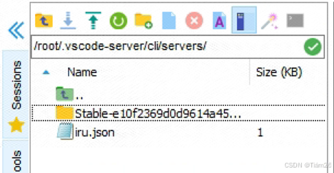 VScode离线连接服务器配置及旧版本插件配置和问题解决_vscode staging-CSDN博客