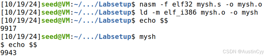 【Seed-Labs 2.0】Shellcode Development Lab-CSDN博客