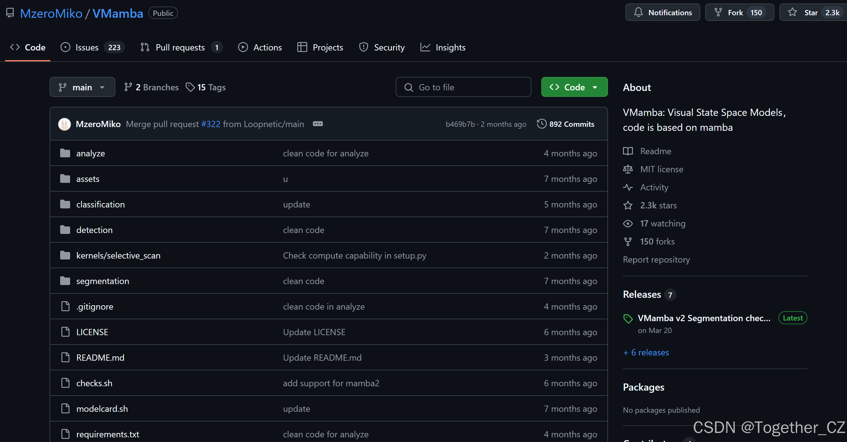 VMamba: Visual State Space Model——视觉状态空间模型-CSDN博客