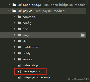 云对象uni-pay-co上传失败。失败原因：阿里云云函数运行环境（runtime）已不支持Nodejs8，请检查云函数目录下package.json的相关配置。_阿里云云函数运行环境 ...