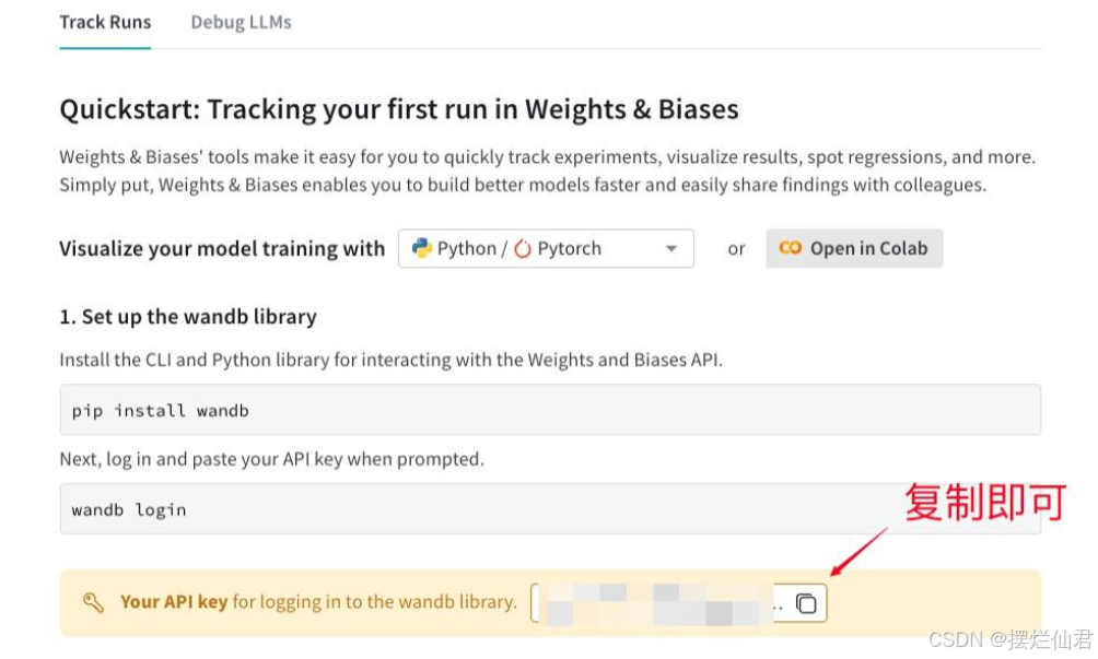 Weights & Biases使用教程-CSDN博客