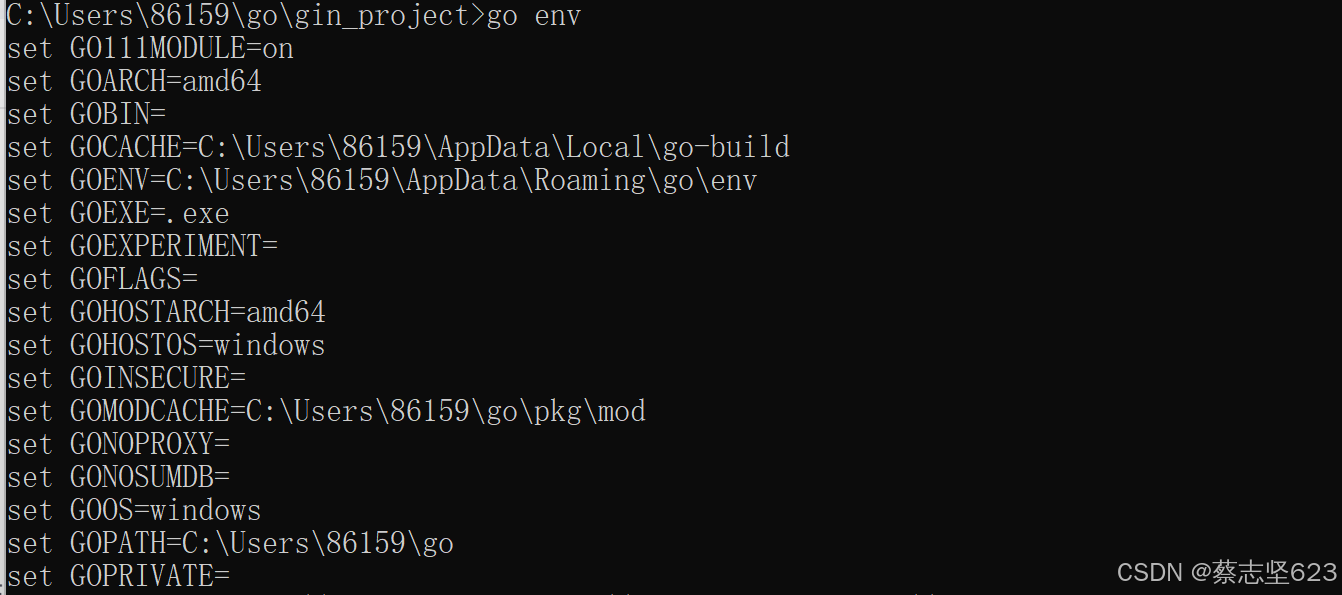 安装Gin框架-CSDN博客