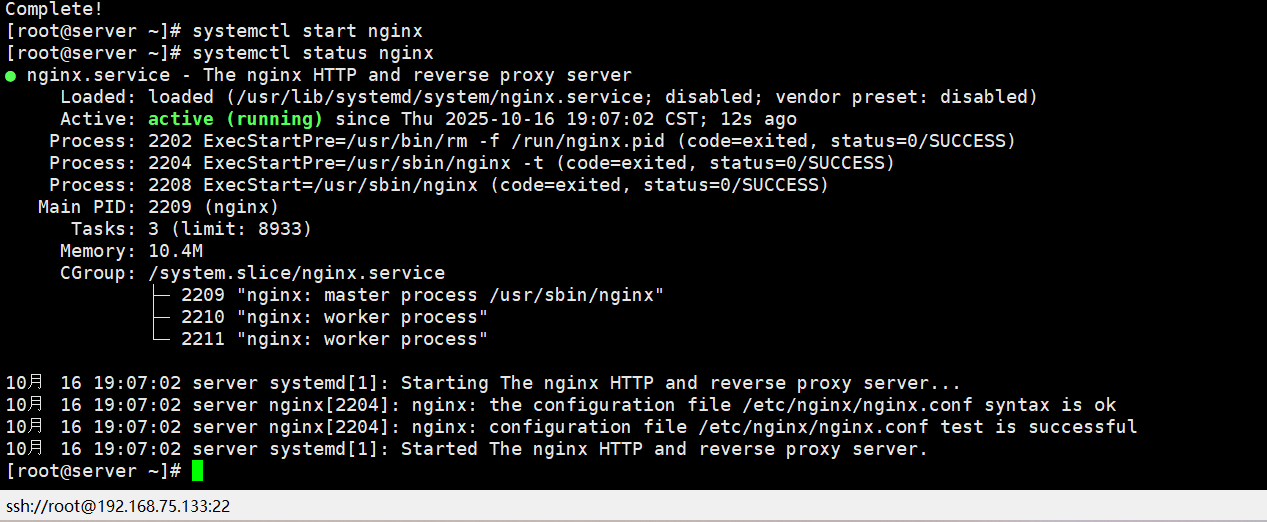 csdn_export_md-CSDN博客