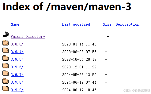 Maven安装与配置_maven3.8.8-CSDN博客