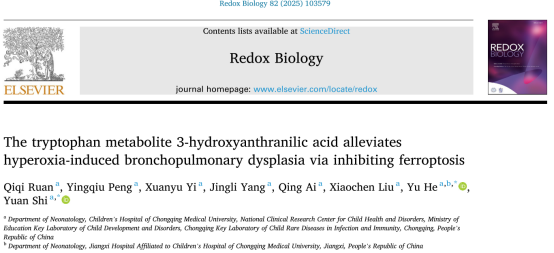 联用 LiP-MS 技术与 SPR 技术鉴定和验证蛋白相互作用_spr验证 二者结合-CSDN博客