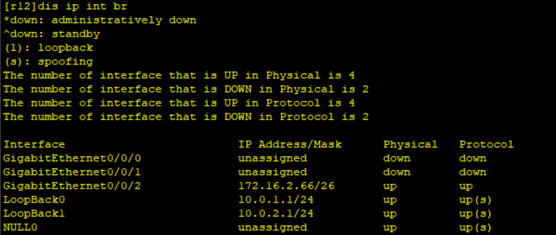 OSPF综合实验_ospf 接口chap-CSDN博客