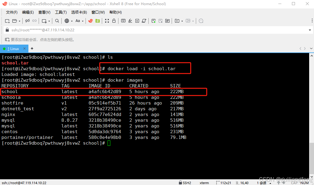 .Net6 Web项目部署到Linux Docker_net6 docker发布到linux-CSDN博客