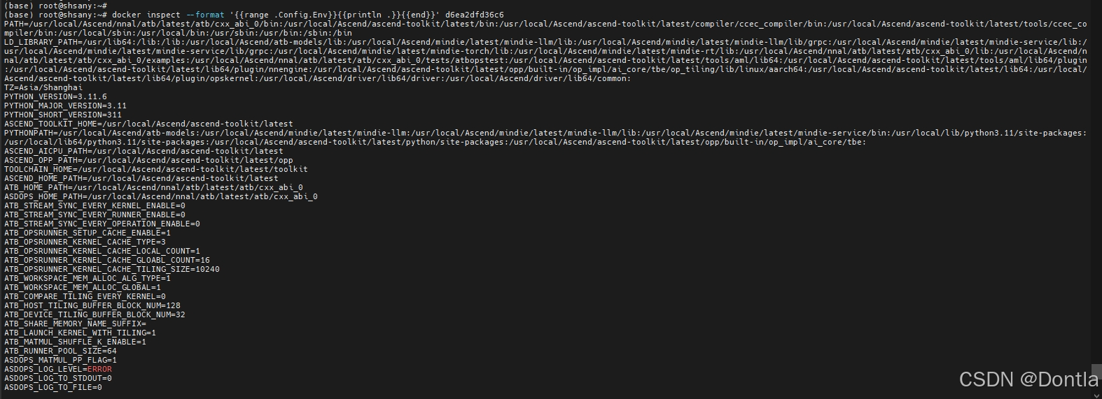 Docker --format 参数介绍（Docker format、Docker -f）（自定义命令输出格式）Docker命令、Docker格式化输出、Docker显示挂载、Docker监控 ...