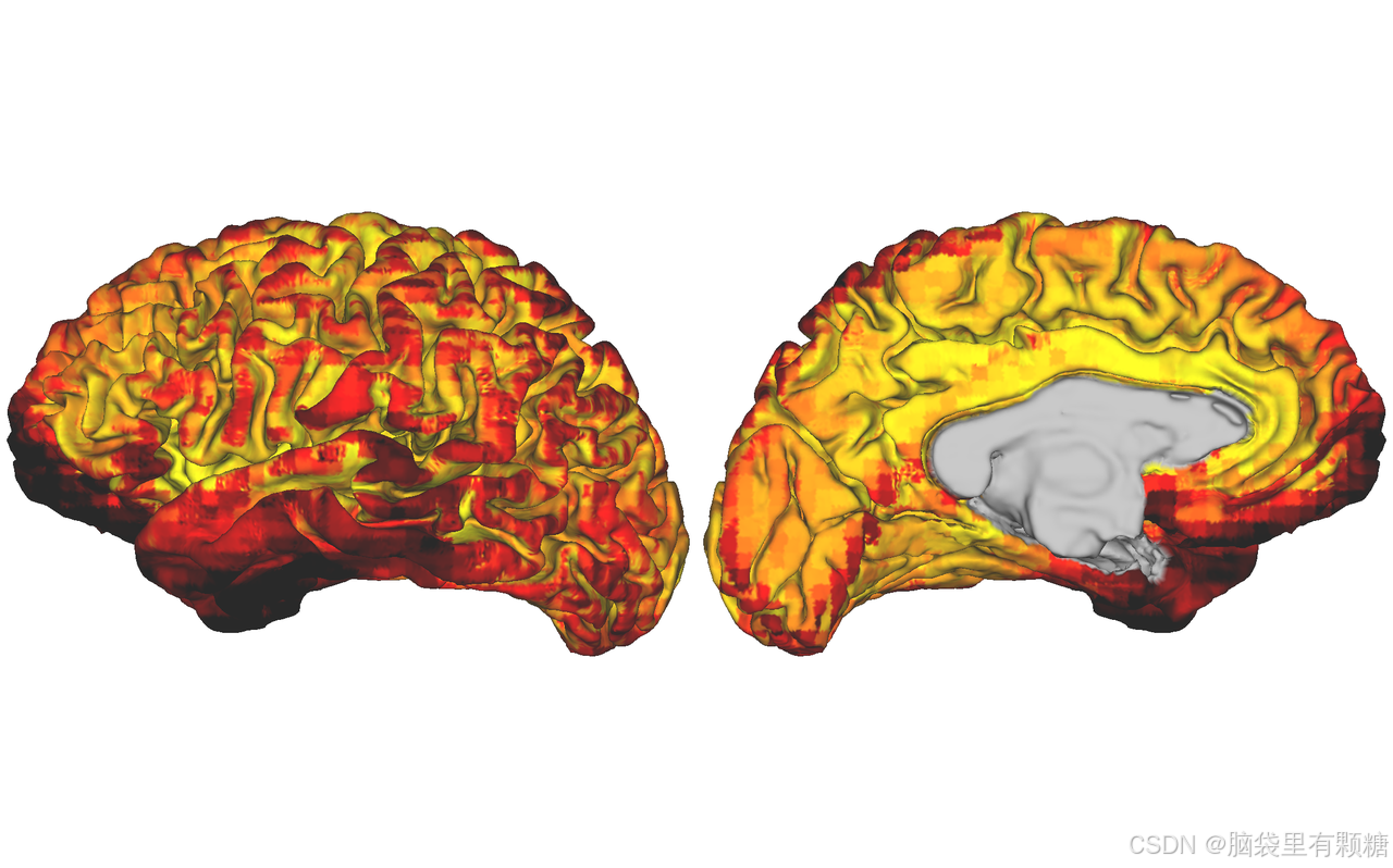 关于fMRIPrep的CIFTI-CSDN博客