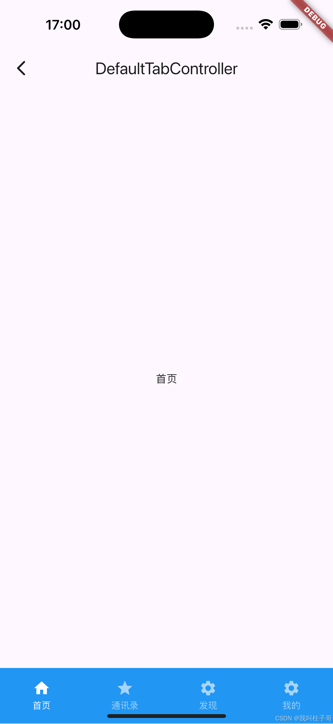 Flutter实现iOS TabBarController效果和android TabHost效果_flutter tabbarcontroller-CSDN博客