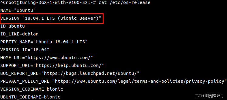 paddle框架下使用多块GPU进行RT-DETR训练_paddle 多卡训练-CSDN博客