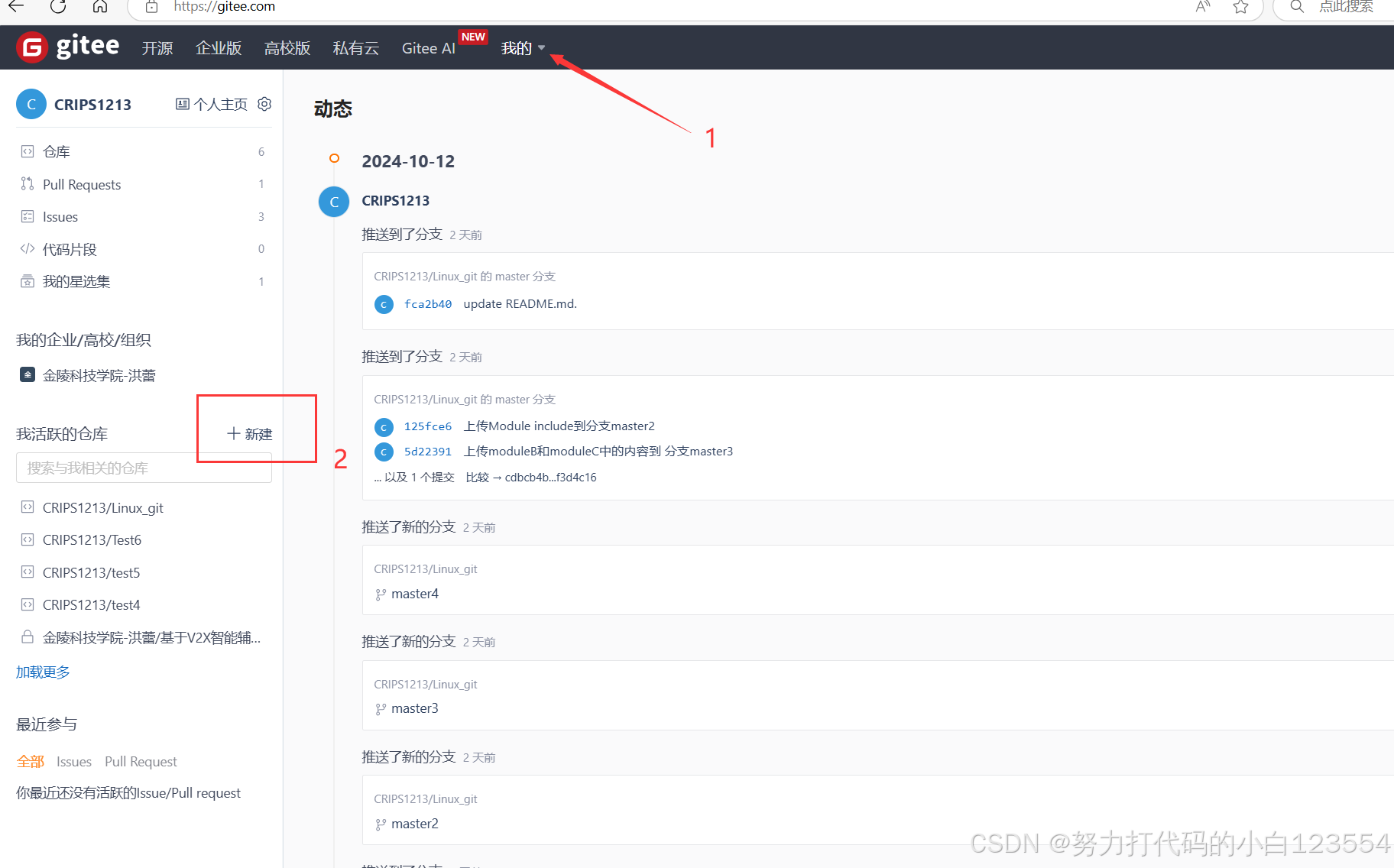 Linux程序开发基础——git的使用_linux git ssh-CSDN博客
