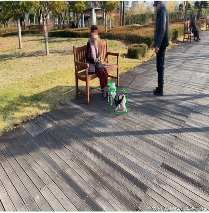 如何基于YOLOv8的训练使用宠物狗数据集-识别 26000多张图像，标注了多个类别，标注格式为YOLO格式，标注文件为JSON格式_宠物数据 ...