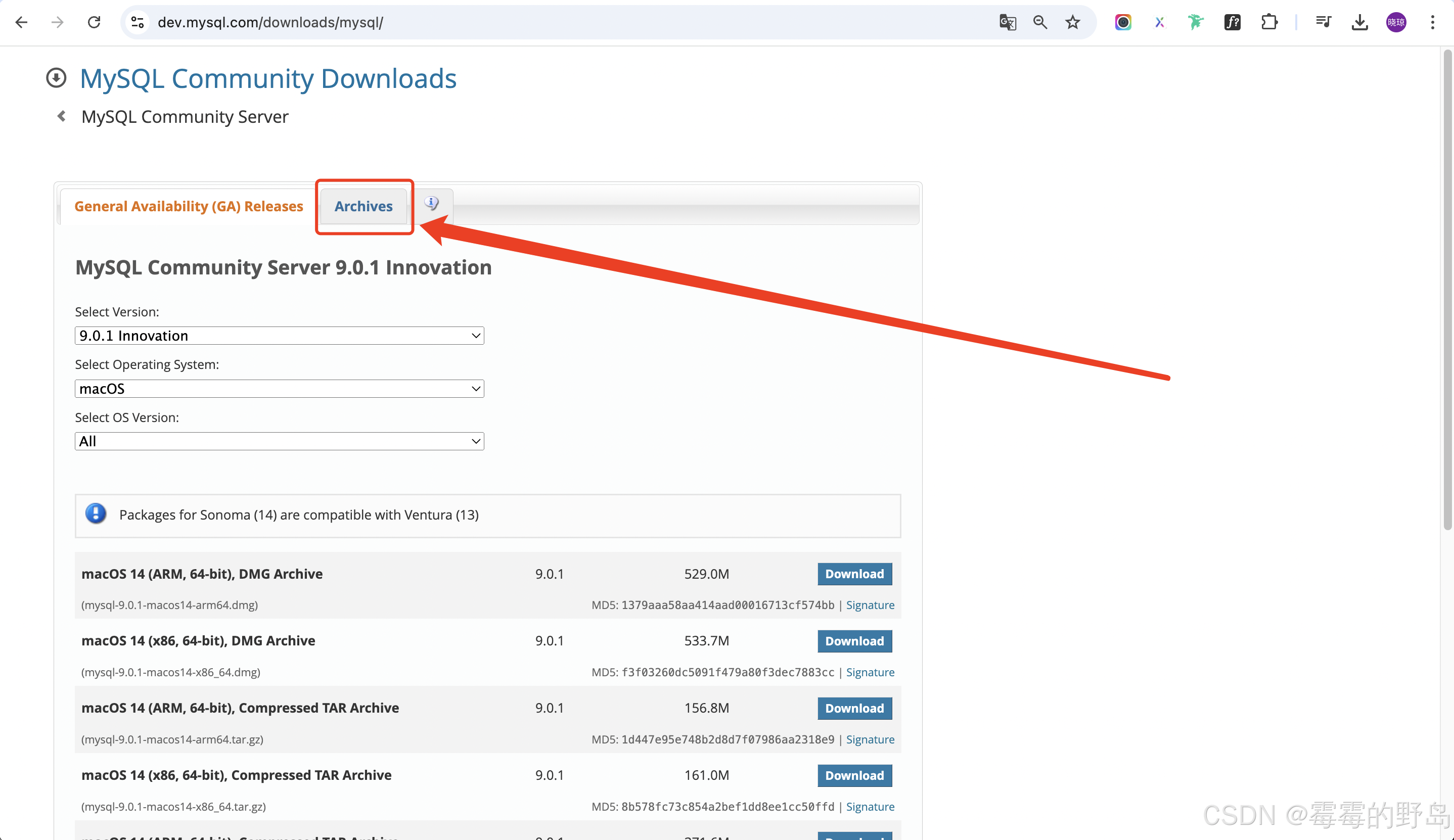 MacBookPro（M1芯片）安装Java开发环境及软件_mac安装java开发环境-CSDN博客