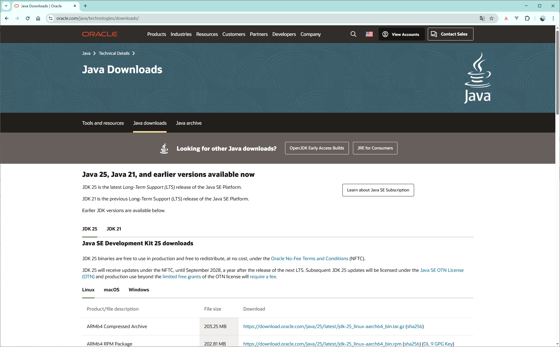 【2025 最新】JDK + Maven +IDEA 安装配置一条龙_jdk25 idea-CSDN博客
