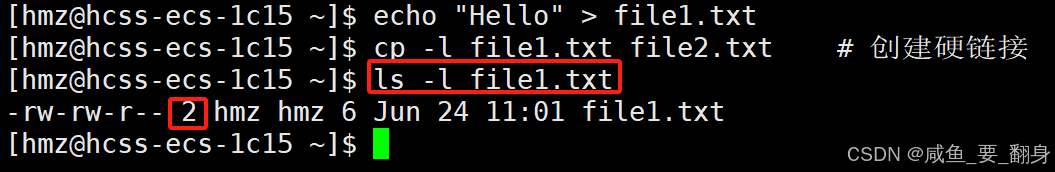 Linux基本命令篇 —— cp命令_linux cp-CSDN博客