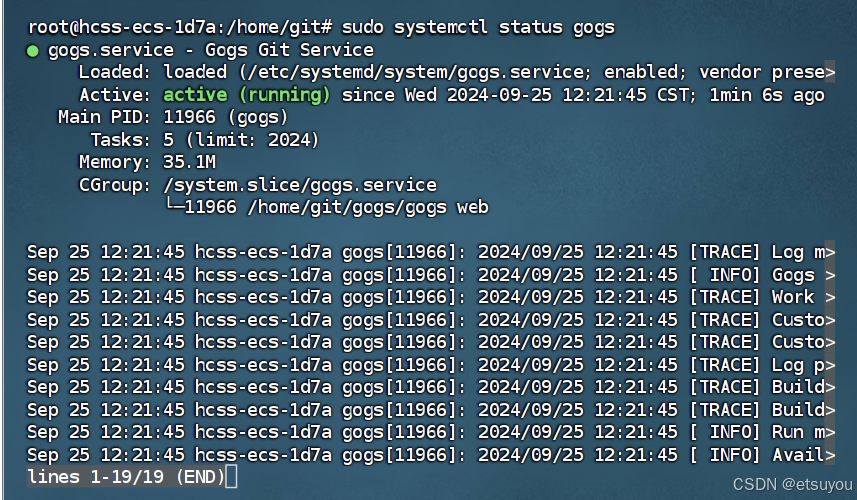 使用Gogs搭建Git私仓——Ubuntu上Gogs安装与配置-CSDN博客