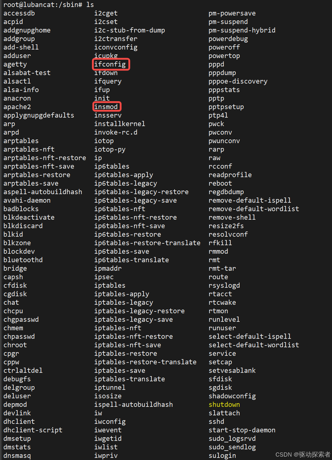 Linux bin lib 相关目录_linux编译后生成的bin和lib是什么-CSDN博客