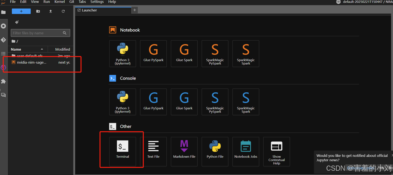 [11th Hackathon] When AWS meets NVIDIA-NIM: Try Your First Chat Robot!-CSDN博客
