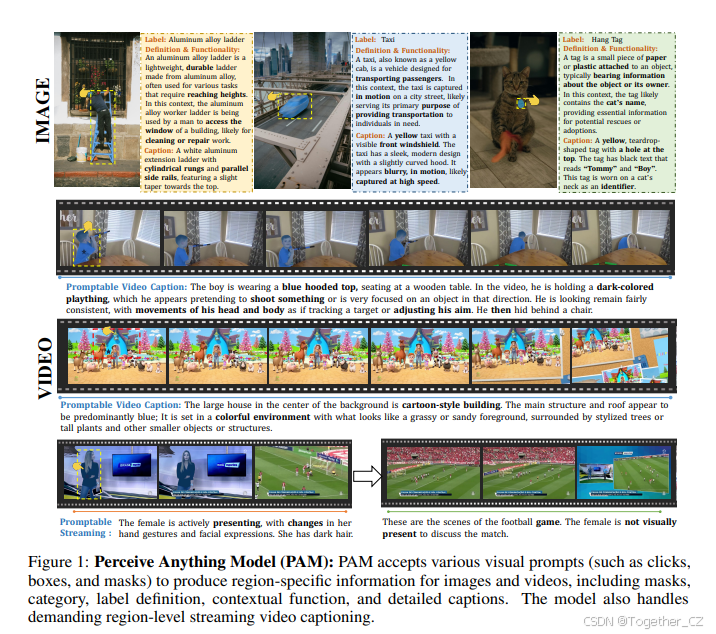PAM：Perceive Anything: Recognize, Explain, Caption, and Segment Anything in Images and Videos感知 ...