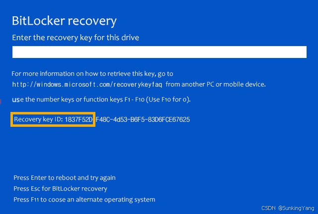 重装/重启，win11系统后，提示“Bitlocker恢复”、“你的PIN不再可用”等问题如何解决_电脑被bitlocker锁住了-CSDN博客