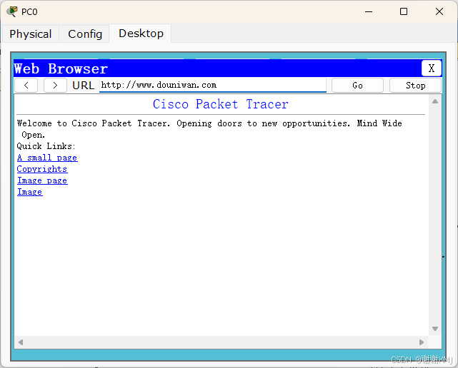思科模拟器基础网络实验（ospf、静态路由、nat、dns、dhcp）_思科模拟器ospf-CSDN博客