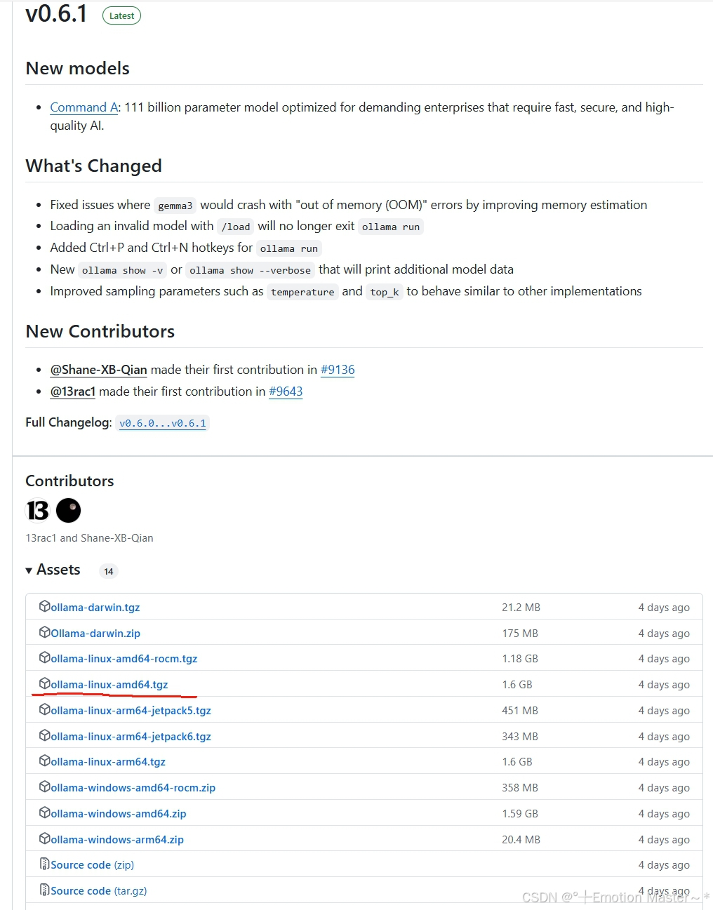 Docker服务器Linux端部署大语言模型，实现Transformer+RL、LLM+RAG（Python+Ollama+Deepseek）_docker_°╄Emotion Master ...
