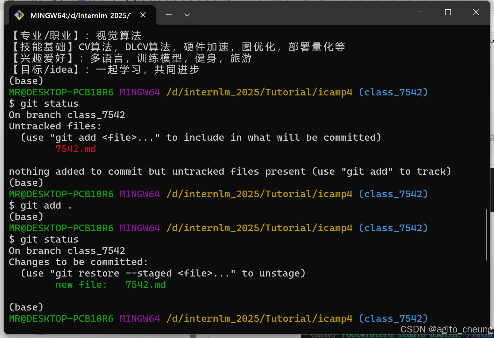 第四期书生大模型实战营-第3关-L0G3000-CSDN博客