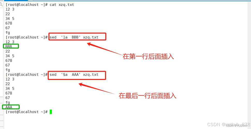 Sed与Shell无缝衔接，处理文本超灵活，变量替换超实用-CSDN博客