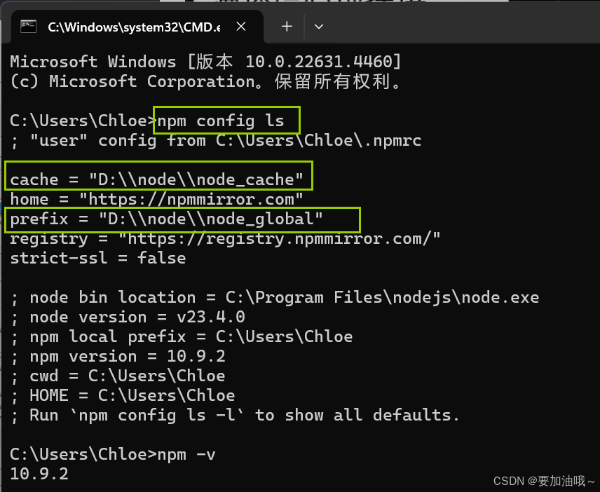 nvm-windows | node版本管理_npm 10.9.2-CSDN博客
