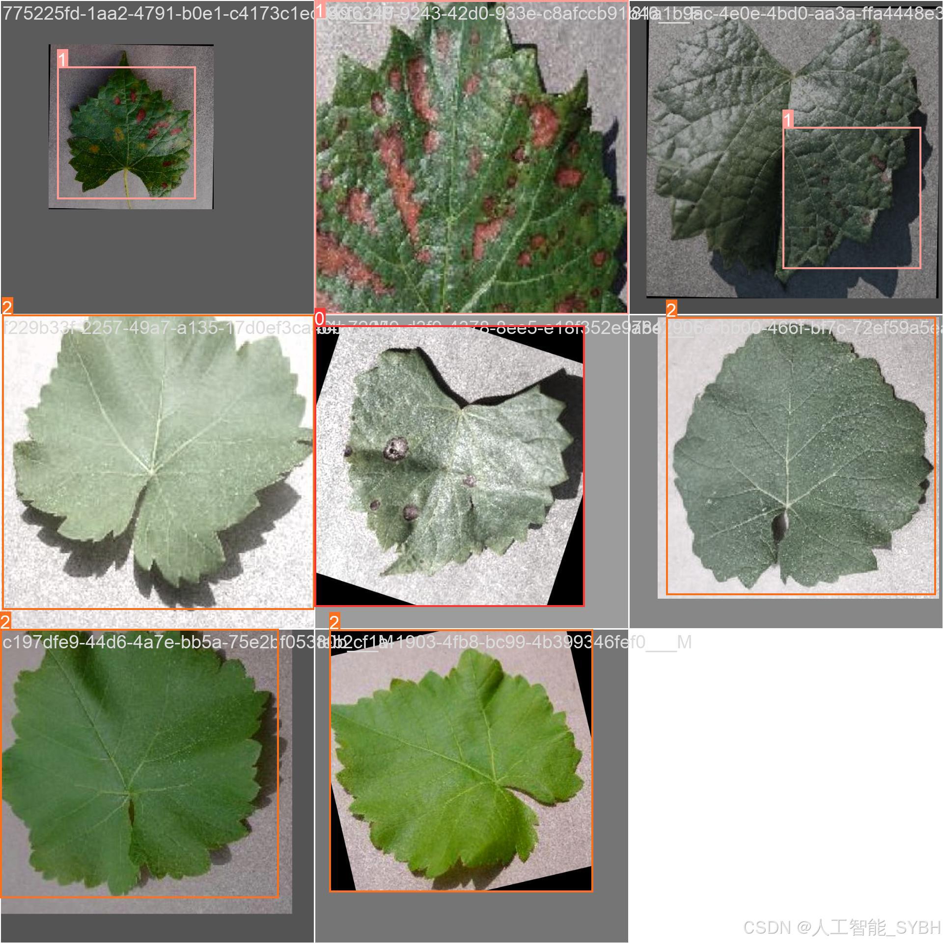 基于深度学习YOLOv10的葡萄叶片病害检测系统（YOLOv10+YOLO数据集+UI界面+Python项目源码+模型）_基于深度学习的葡萄叶部病害图像分类系统-CSDN博客