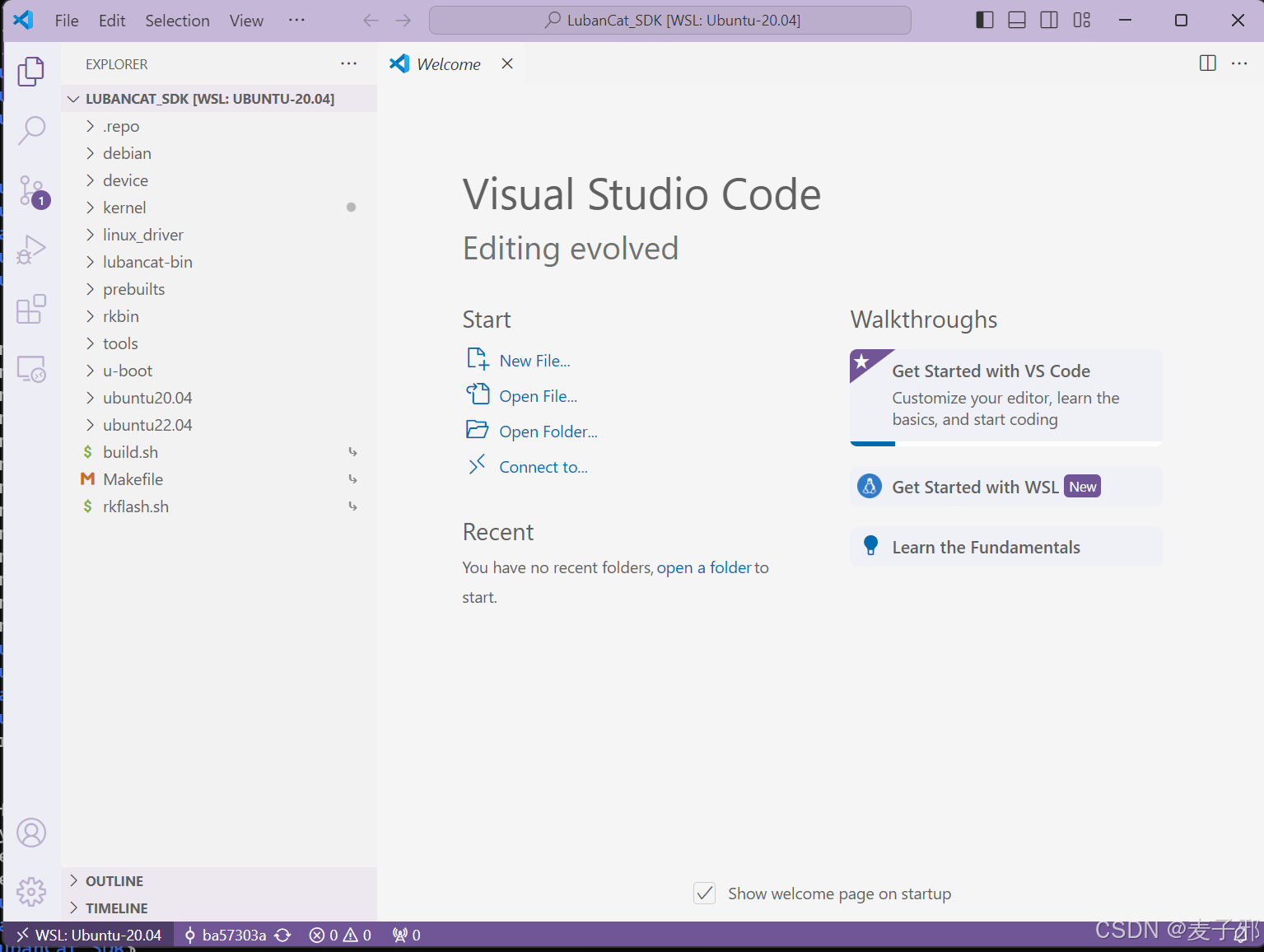 使用WSL安装&配置&升级Ubuntu_wsl安装ubuntu-CSDN博客