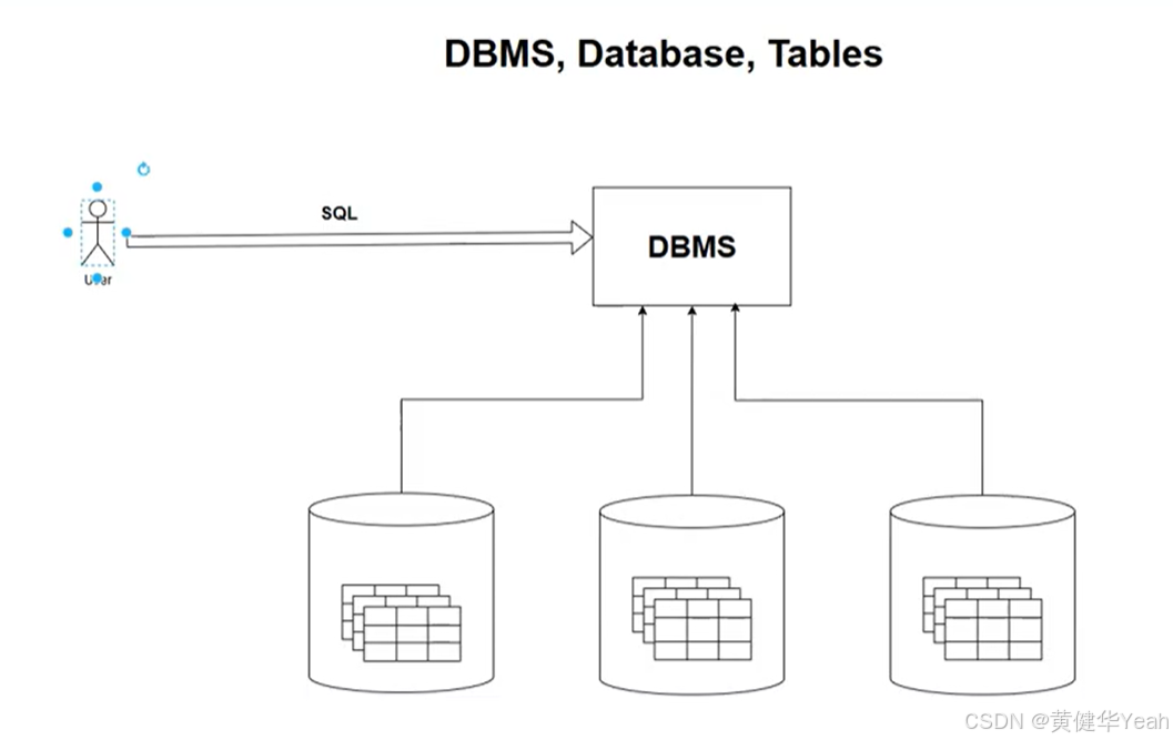002 DBMS, DataBases and Tables_dbms schema table-CSDN博客