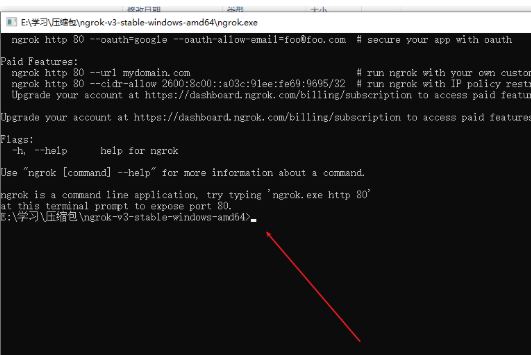 ngrok实现内网穿透_ngrok账号-CSDN博客