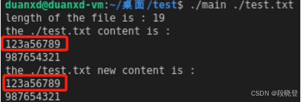 mmap详解-CSDN博客