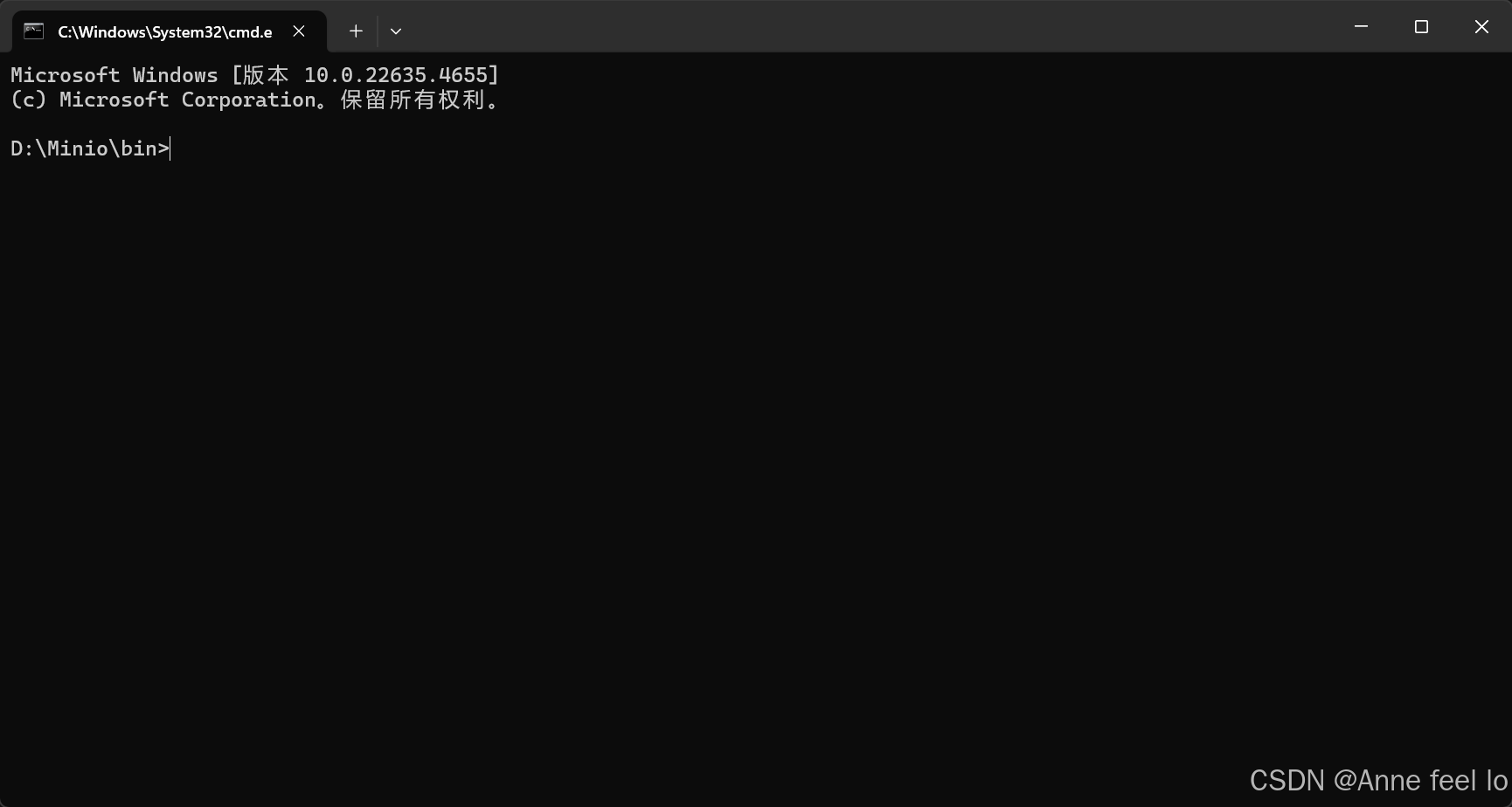 在Windows上MinIO的安装与使用（保姆教程）_minio安装windows-CSDN博客