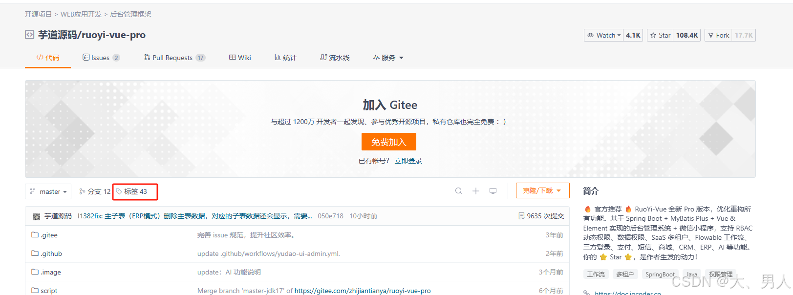 ruoyi-vue-pro源码部署-CSDN博客