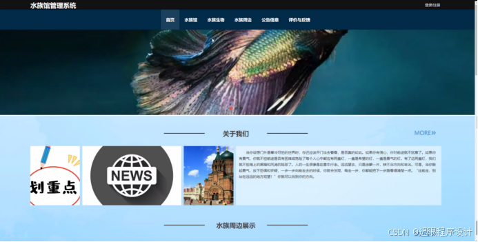 计算机毕业设计springboot水族馆管理系统 基于spring Boot的水族馆智能管理平台 Spring Boot驱动的水族馆运营管理系统基于springboot的水族管理系统 Csdn博客