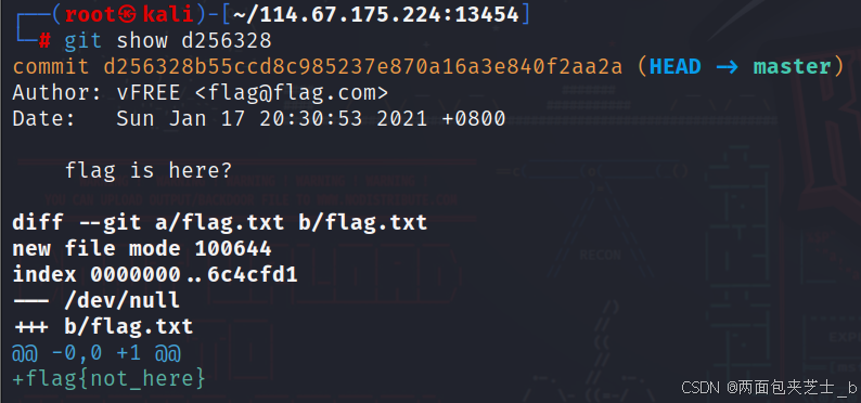 Bugku CTF web——source解题_bugku source-CSDN博客