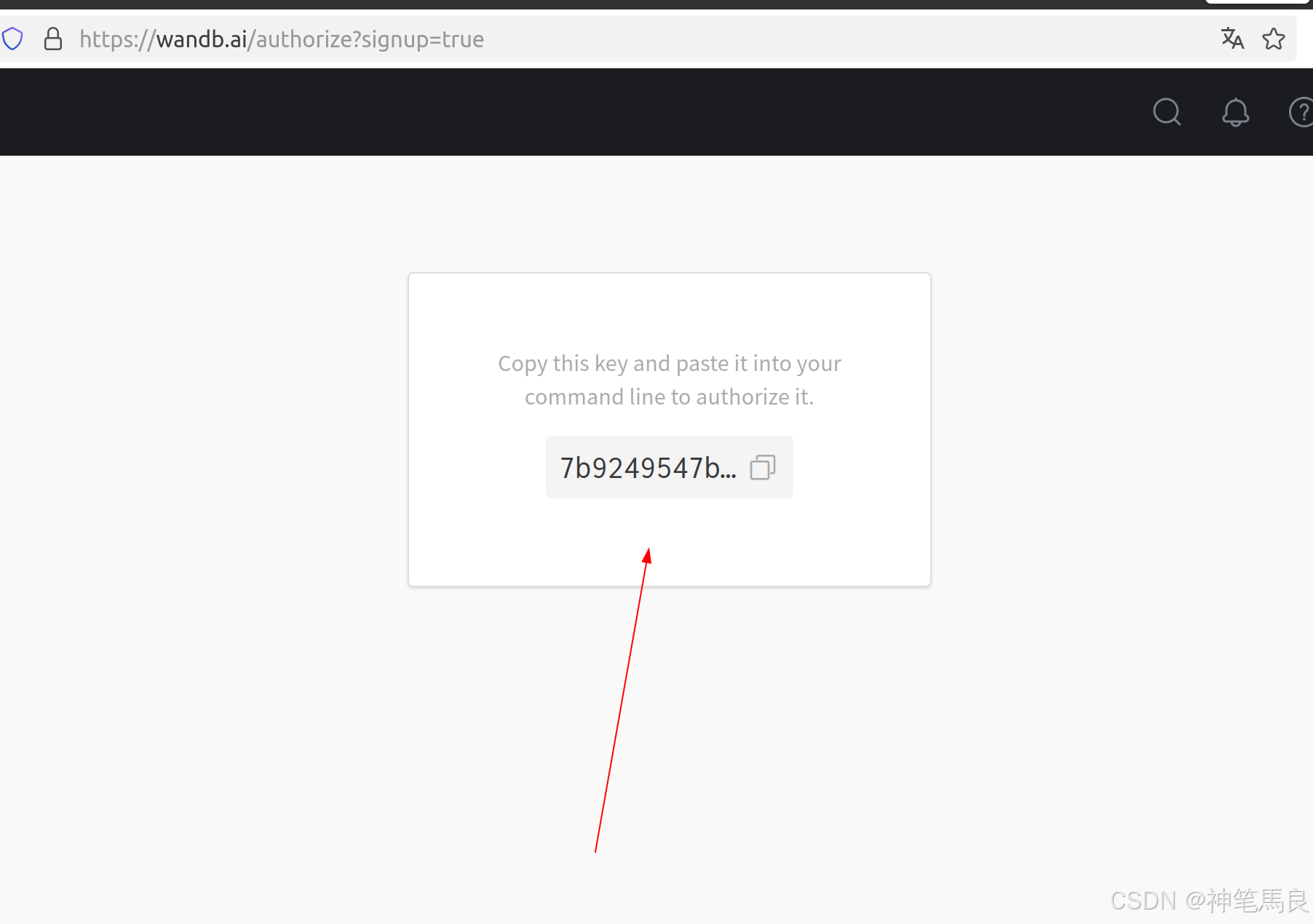 wandb: Enter your choice:-CSDN博客