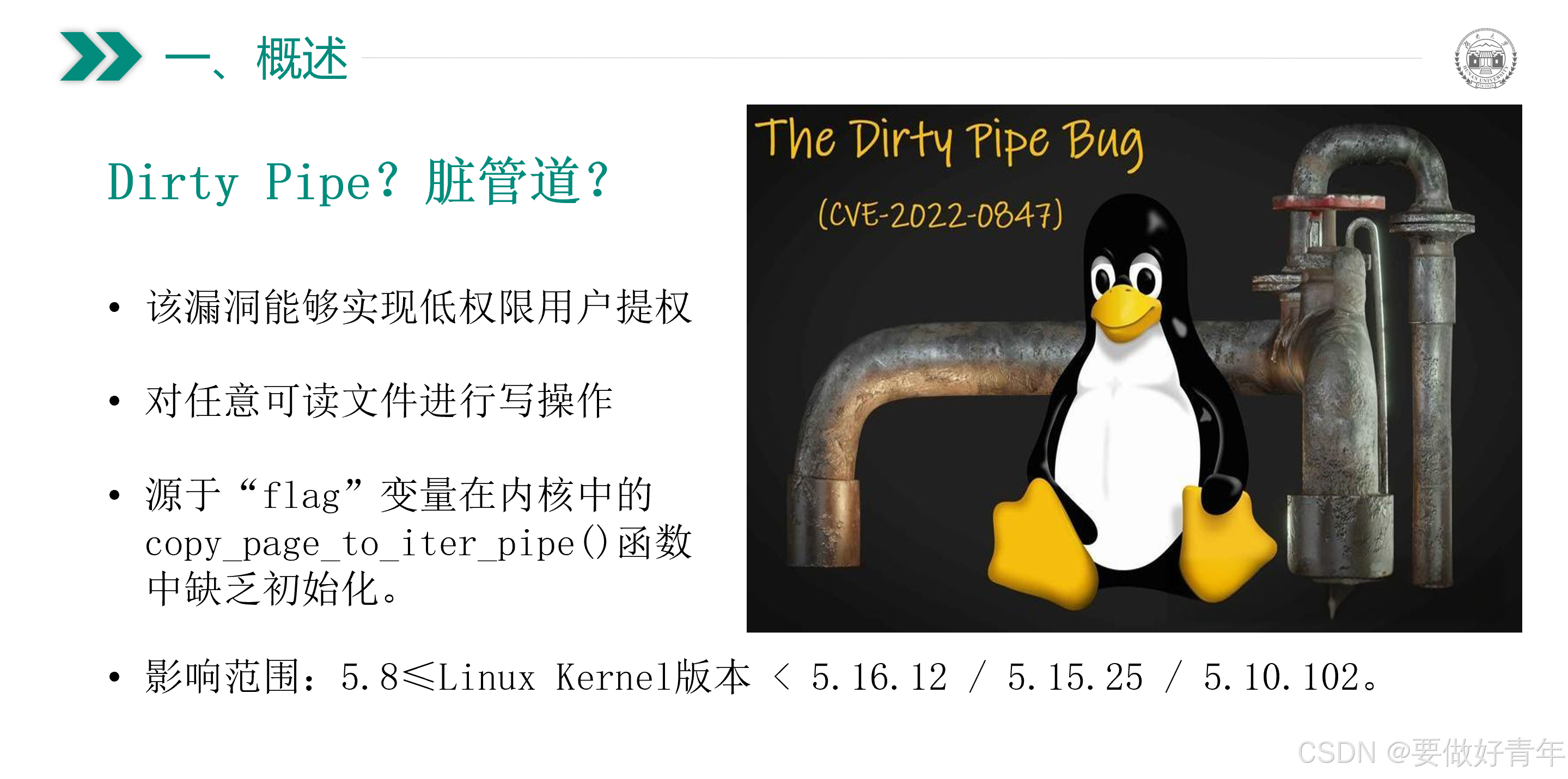 CVE-2022-0847：Dirty Pipe原理及复现汇报_dirtypipe-CSDN博客