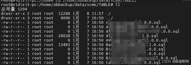 OceanBase的导出导入工具：obdumper和obloader介绍-CSDN博客