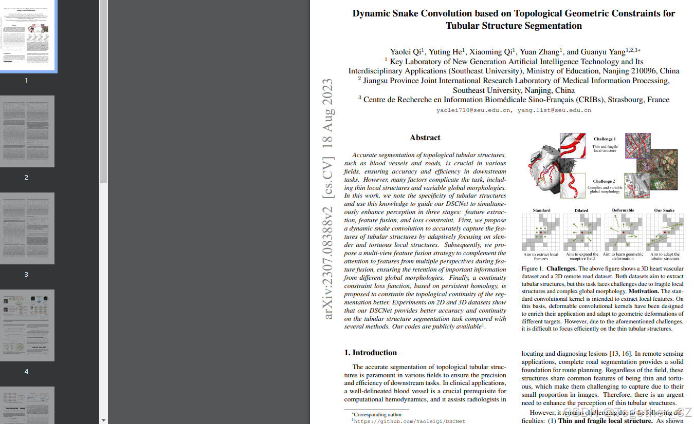 DSC：DSC on Topological Geometric Constraints forTubular Structure Segmentation—动态蛇形卷积基于拓扑几何约束的管状 ...