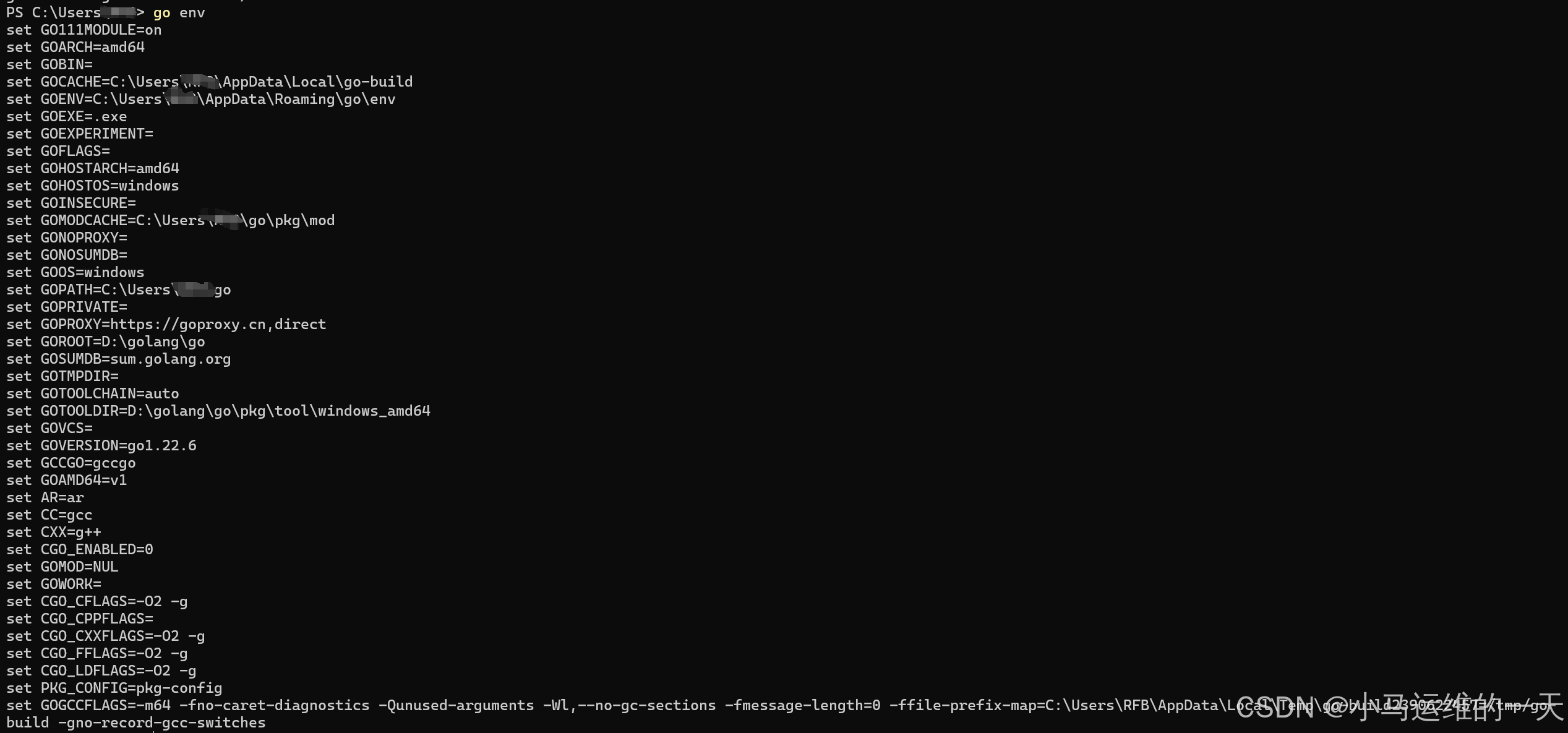 01.Go语言介绍及Windows环境搭建_go语言 window环境搭建-CSDN博客