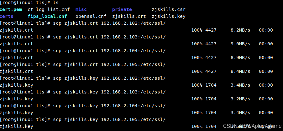 配置 linux1 为 CA 服务器,为 linux 主机颁发证书，证书颁发机构。_linux ca配置-CSDN博客