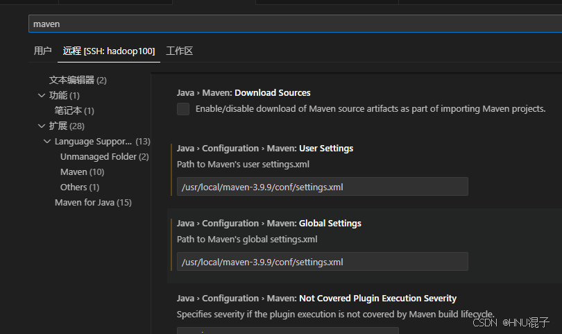 HDFS学习04-Vscode+Java+hdfs的环境配置，通过代码来操作HDFS_vscode hadoop hdfs-CSDN博客