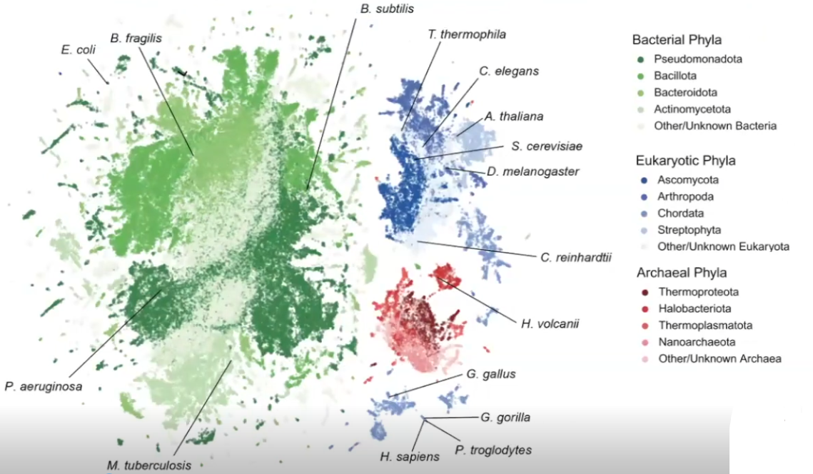 Evo2 论文讲解_基因 模型 evo2-CSDN博客